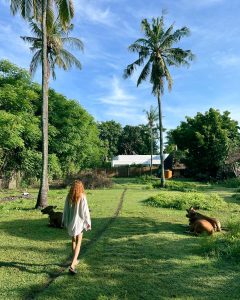 Przewodnik po rajskiej Gili Air! Wyspy Gili w Indonezji – którą wybrać ...