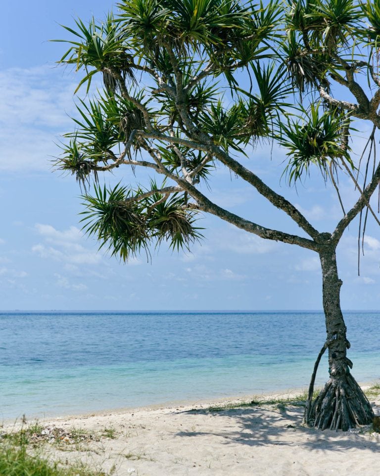 Przewodnik po rajskiej Gili Air! Wyspy Gili w Indonezji – którą wybrać ...